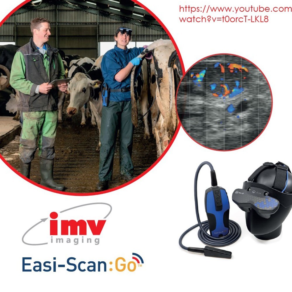 Easi Scan Go Doppler Productos